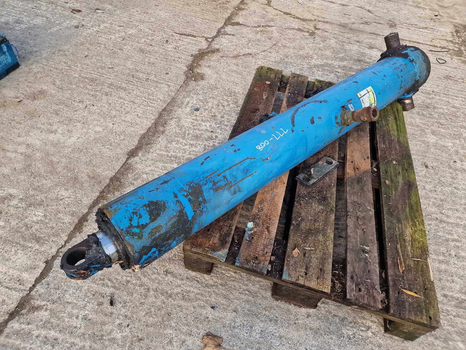 Lot 582 - Tipping Ram